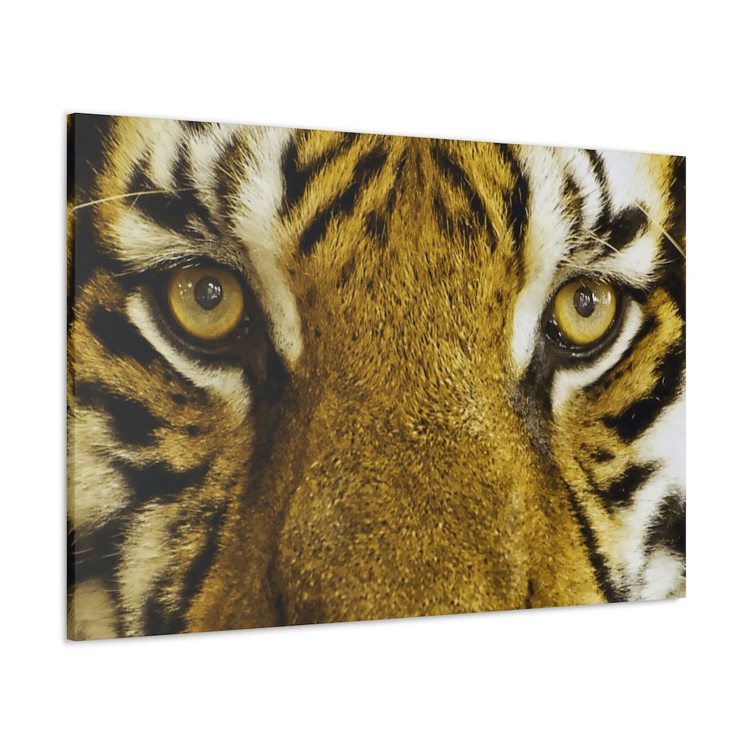 CANVAS ART - Tiger Wall Art | Tiger Eyes Closeup | Jungle Art | Tiger ...