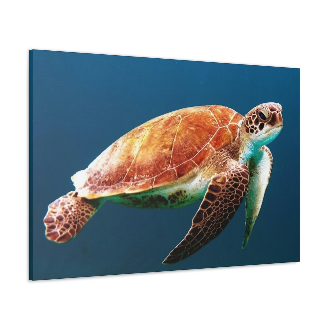 CANVAS ART - Sea Turtle Wall Art | Turtle Art | Turtle Canvas Art ...
