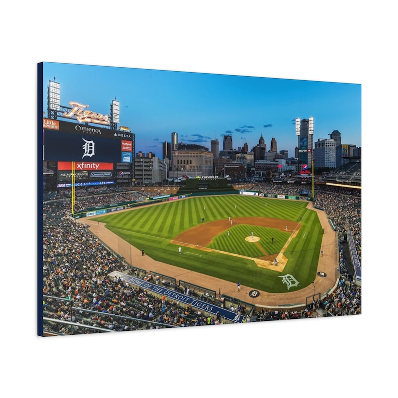 Tiger in a Field Art - Etsy