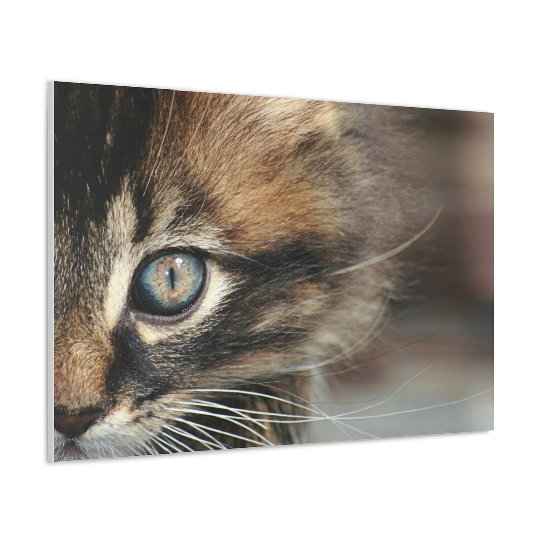 CANVAS ART - Cat Art | Cat Artwork | Cat Art Print | Kitten Art ...