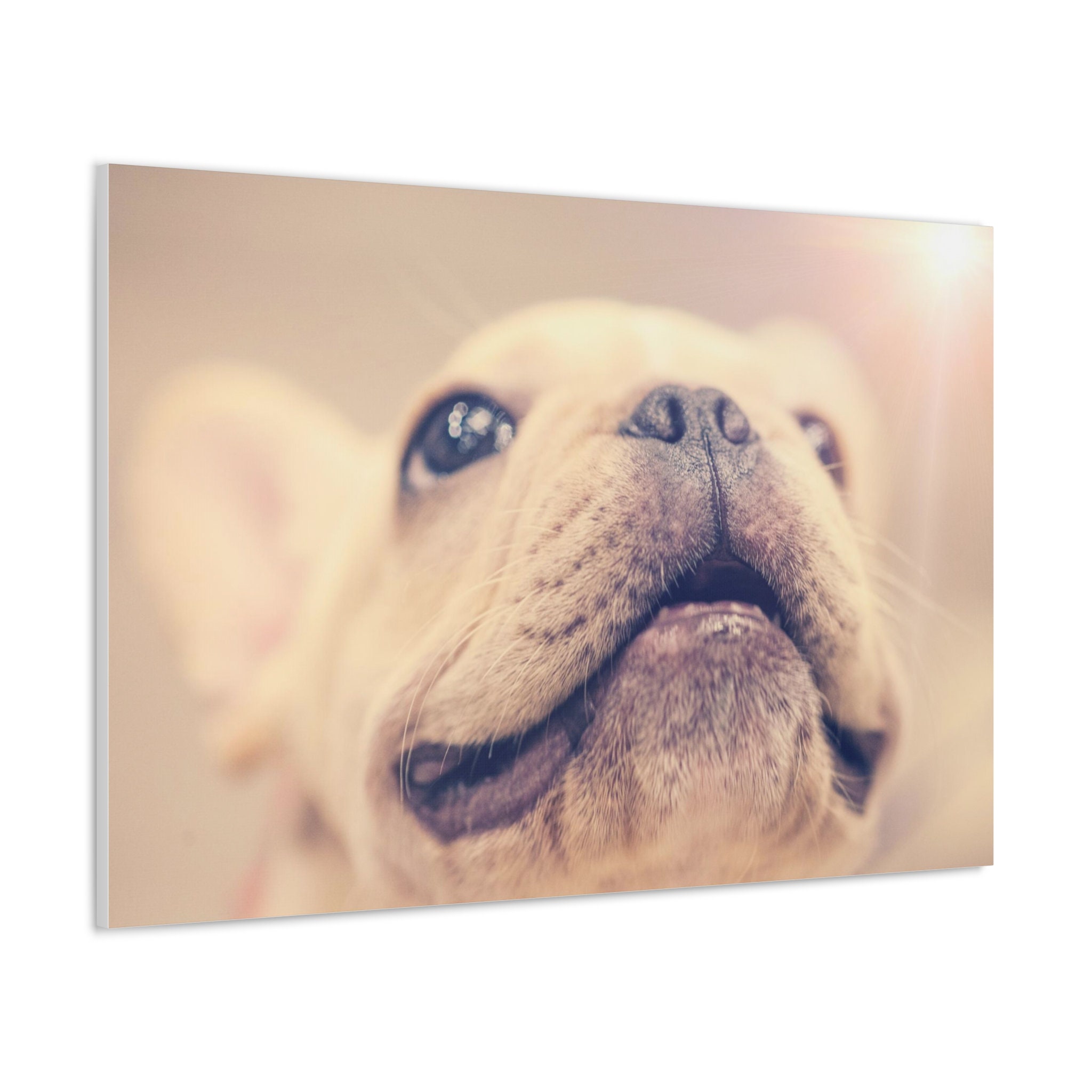 CANVAS ART Pug Wall Art Pug Art Pug Wall Decor Pug - Etsy