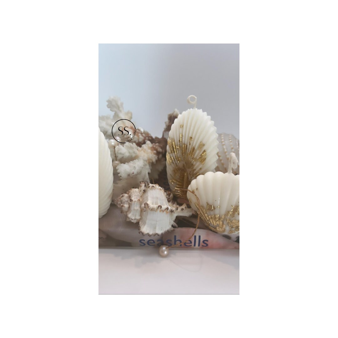 Mother of Shells Candle Shell Candle Gold Sea Shell Candle - Etsy