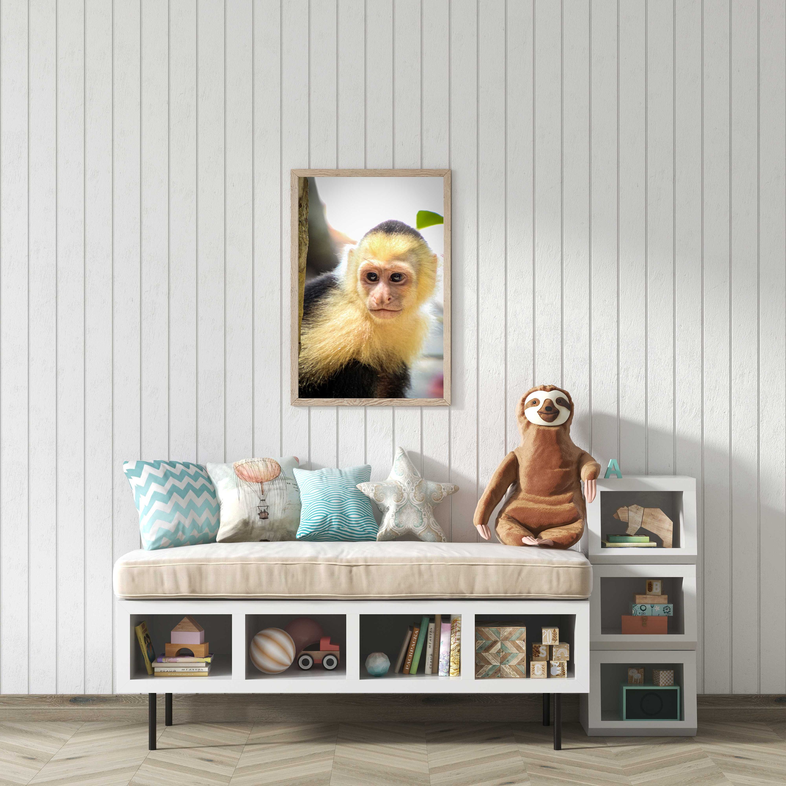 Cute Juvenile White-faced Capuchin Monkey 2 Fine Art Photograph Metal ...