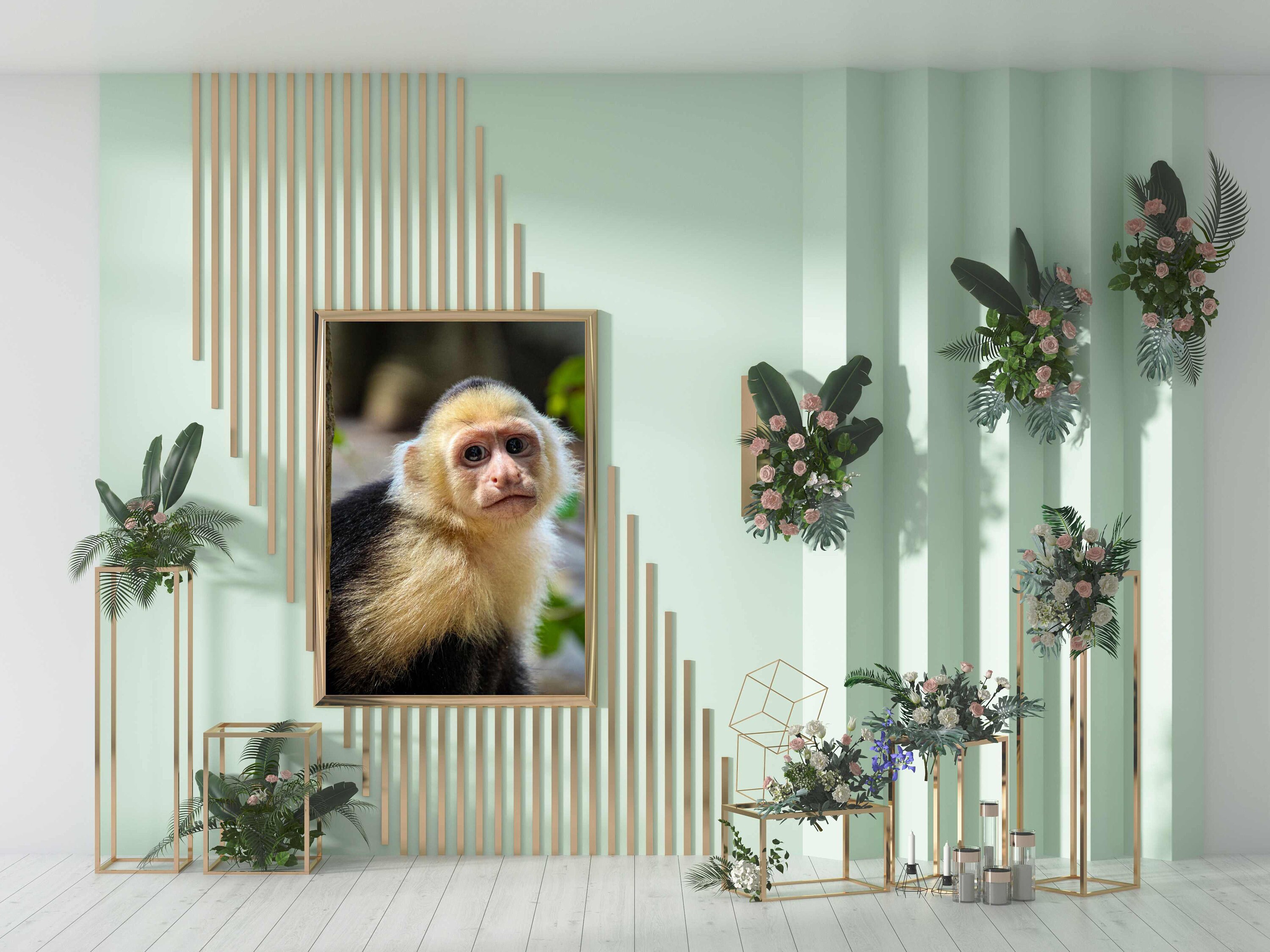 Cute Juvenile White-faced Capuchin Monkey Fine Art Photograph Metal ...