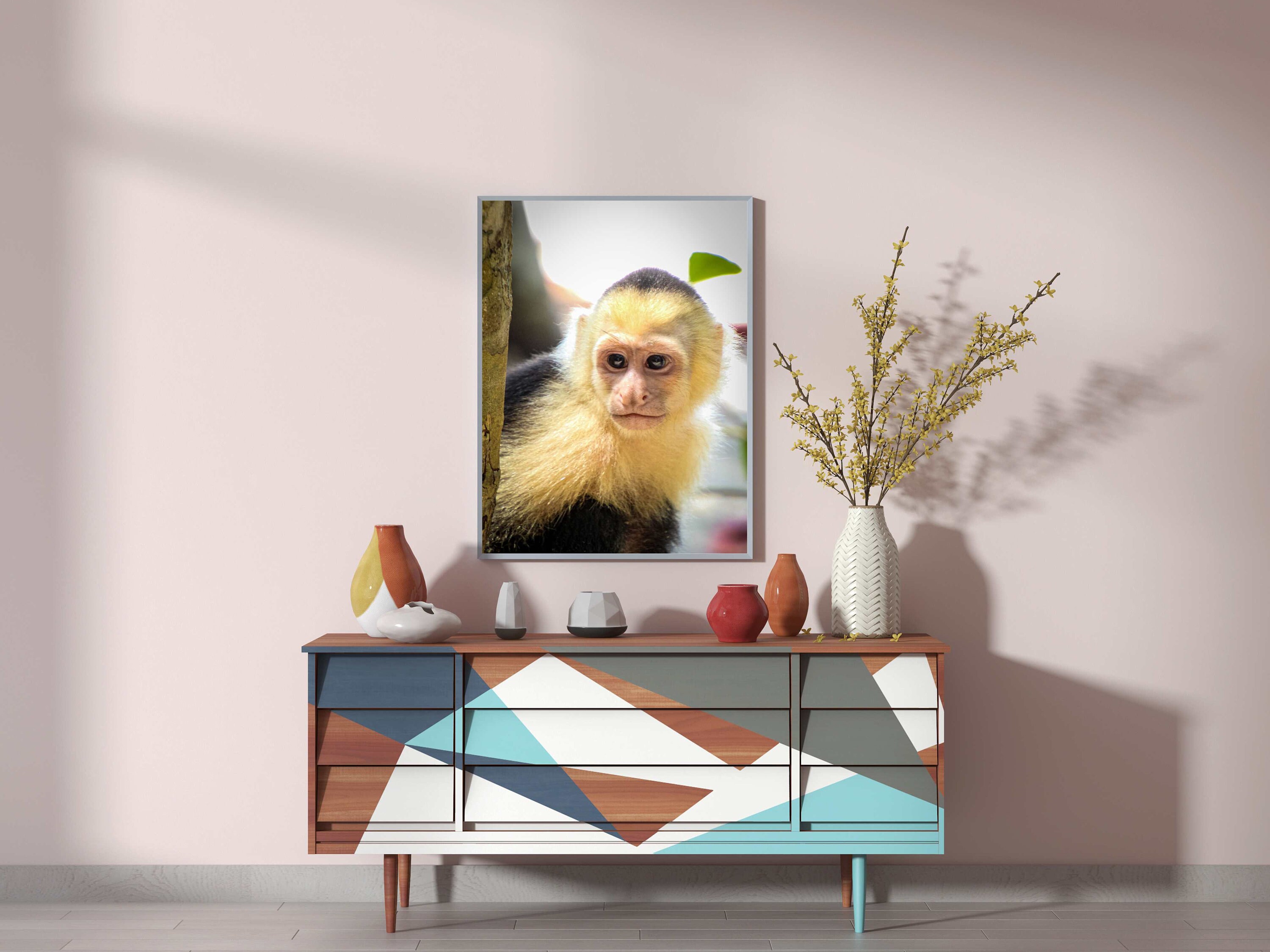 Cute Juvenile White-faced Capuchin Monkey 2 Fine Art Photograph Metal ...