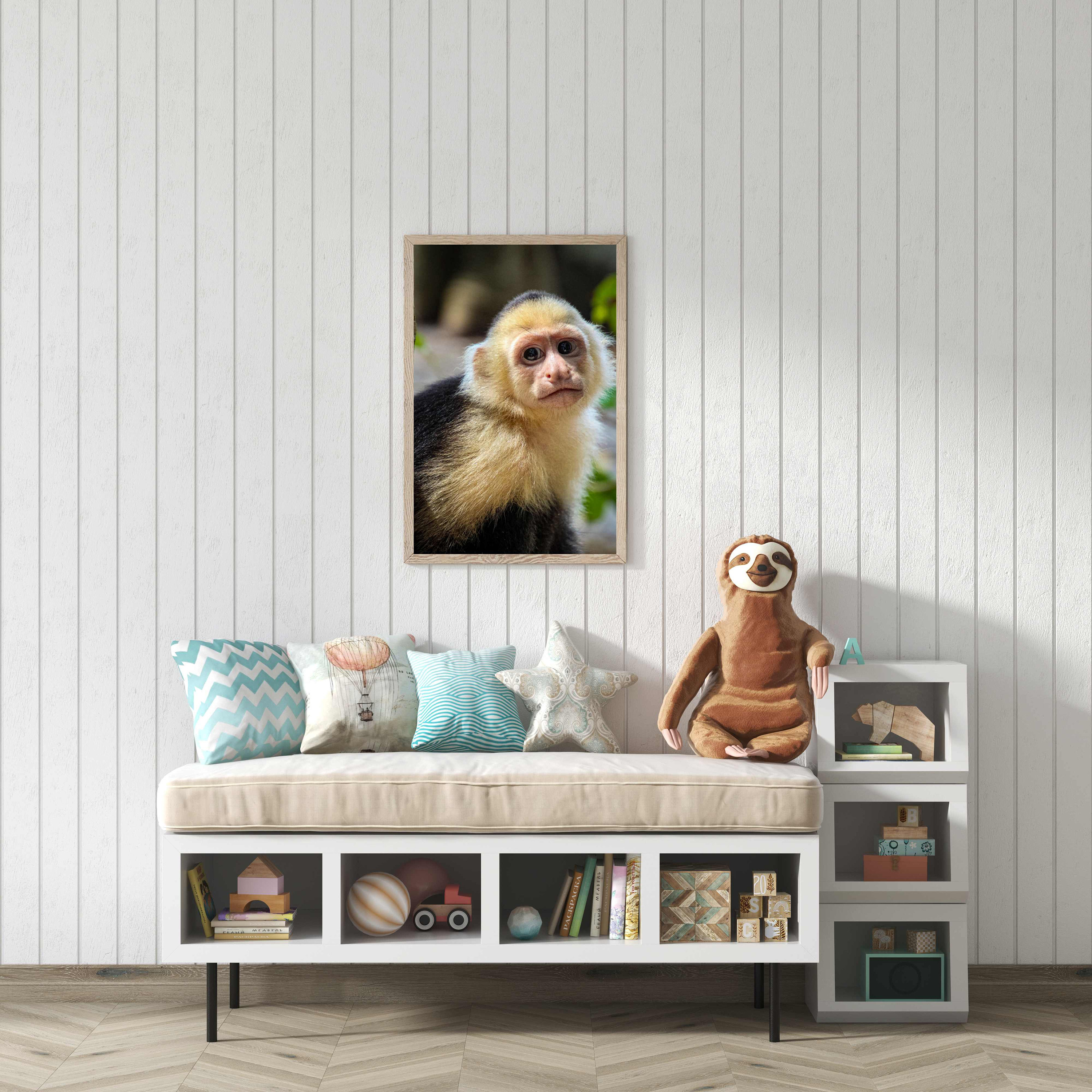 Cute Juvenile White-faced Capuchin Monkey Fine Art Photograph Metal ...