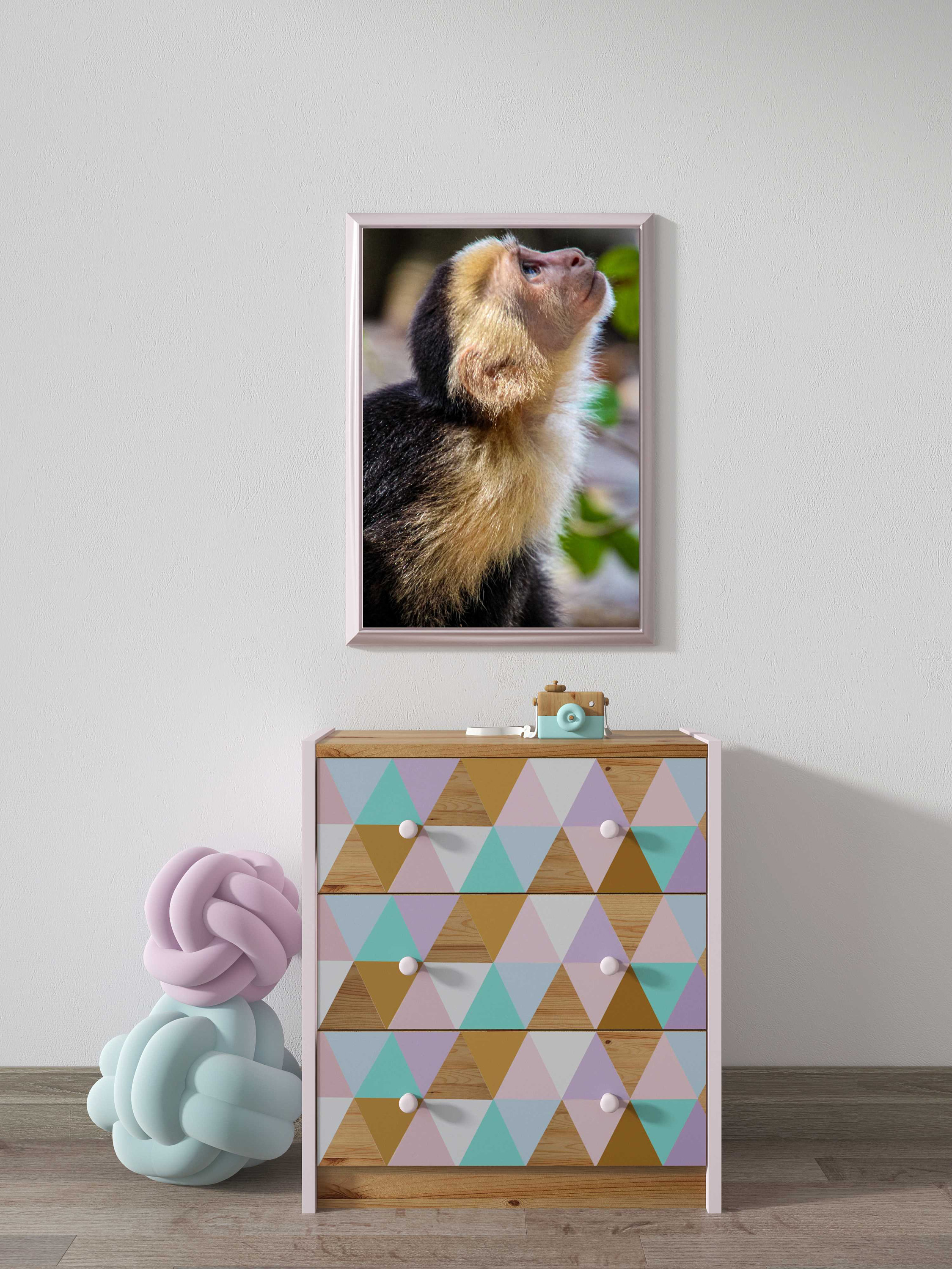 Cute Juvenile White-faced Capuchin Monkey 3 Fine Art Photograph Metal ...