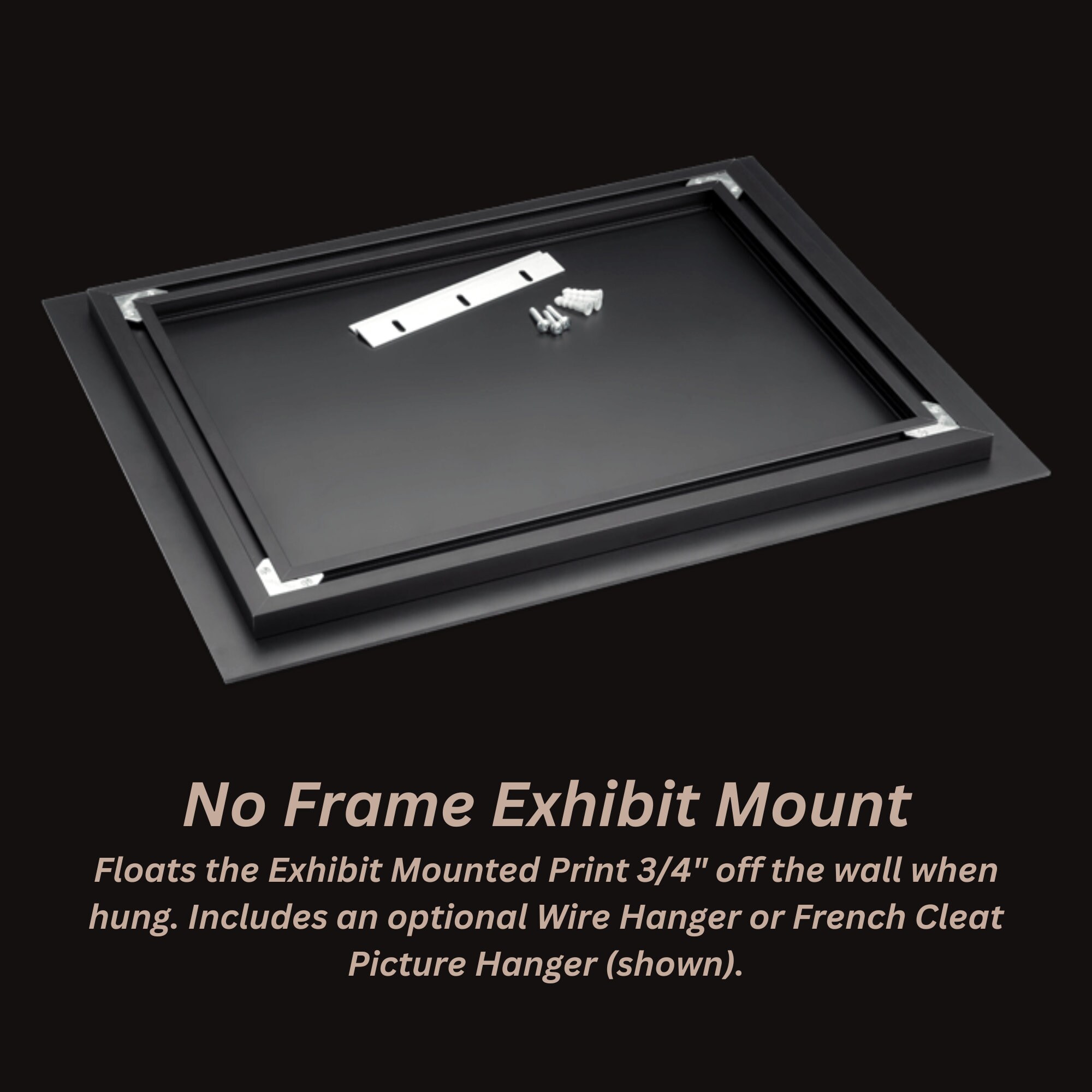 Cute Juvenile White-faced Capuchin Monkey Fine Art Photograph Metal ...