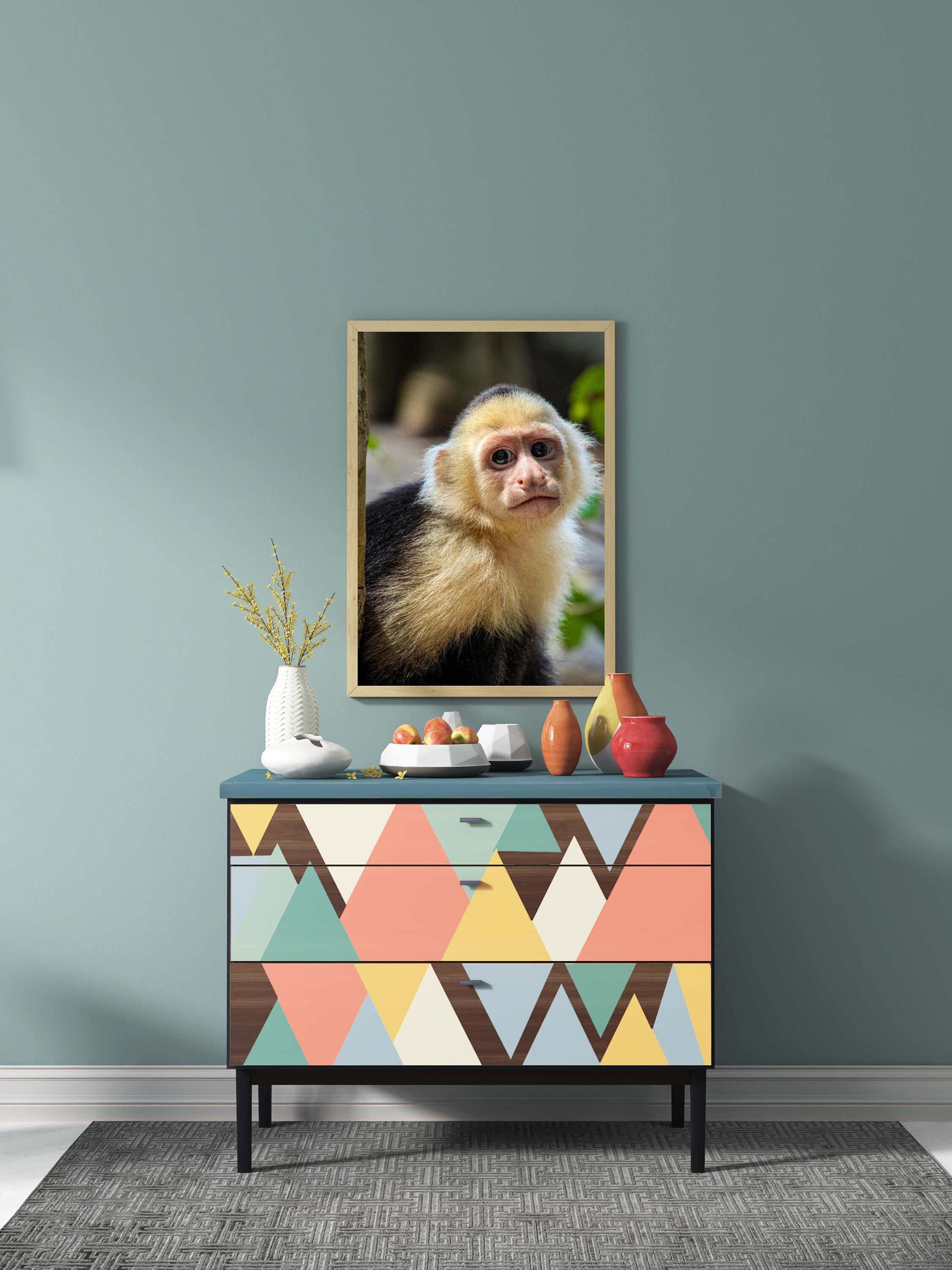 Cute Juvenile White-faced Capuchin Monkey Fine Art Photograph Metal ...
