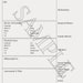 History & Physical Template | Medical School, Medical Student, Nursing Student, Health ...