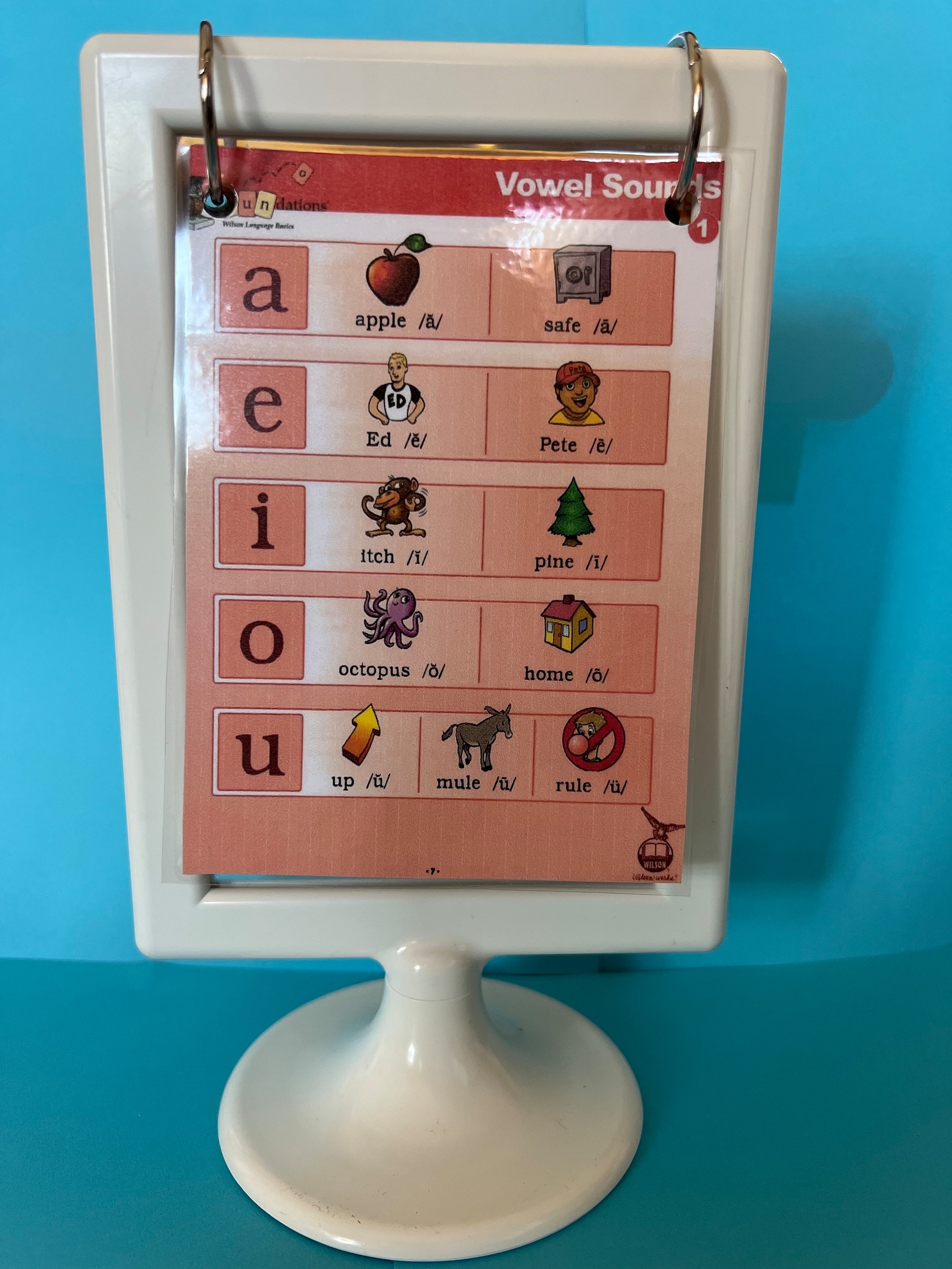 Table Top Fundations Mini Posters - Etsy