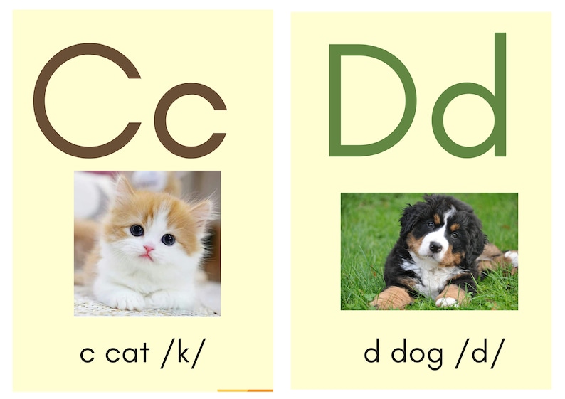 Fundations Sound Cards- ABC Cards & Digraphs - Etsy