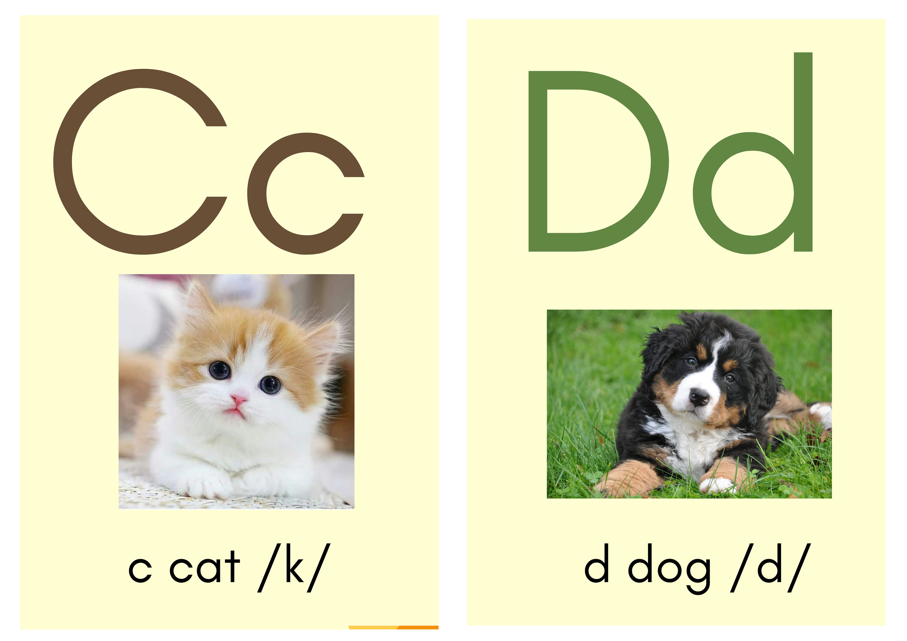 Fundations Sound Cards- ABC Cards & Digraphs - Etsy