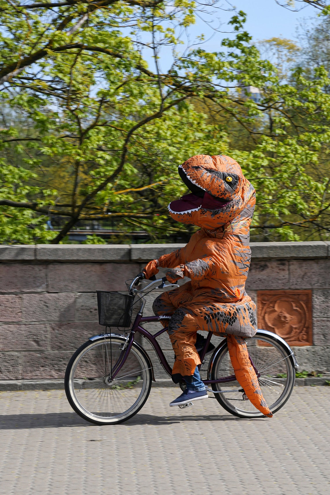 Gaming Mouse Pad Dinosaur T-rex Riding Bicycles Funny Meme - Etsy