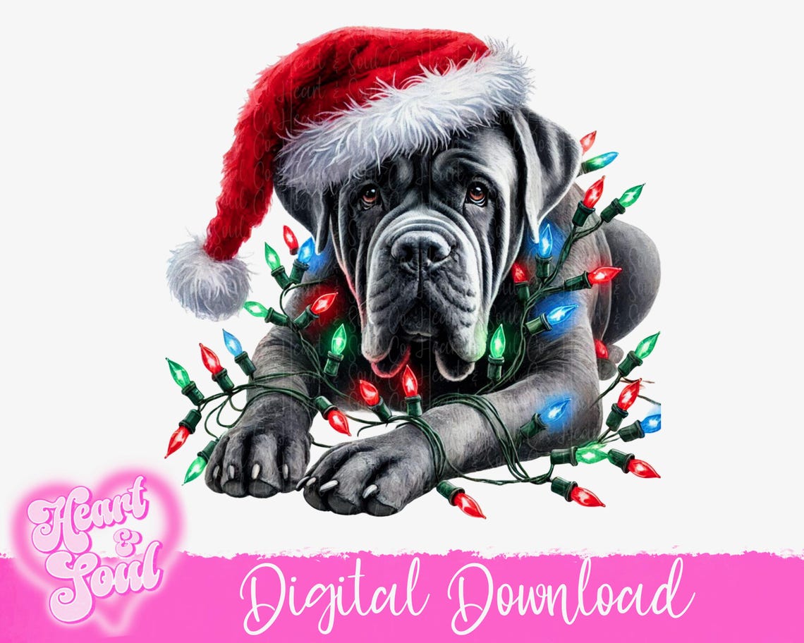 Christmas Can Corso PNG- Cane Corso Christmas Lights and Santa Hat Png ...