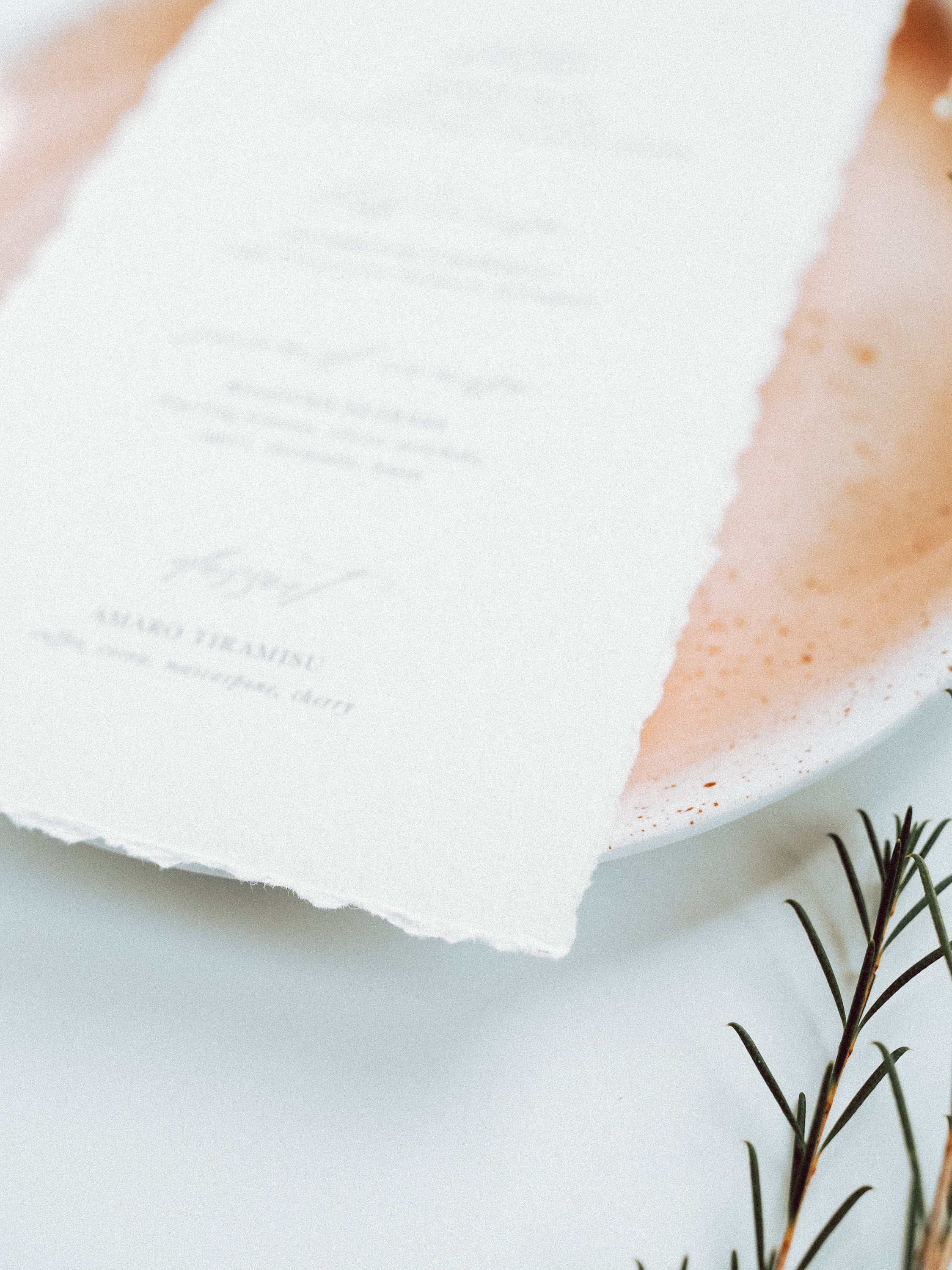 Modern Minimal Wedding Menus on Thick 4x8 Card Stock With Deckled Edge ...