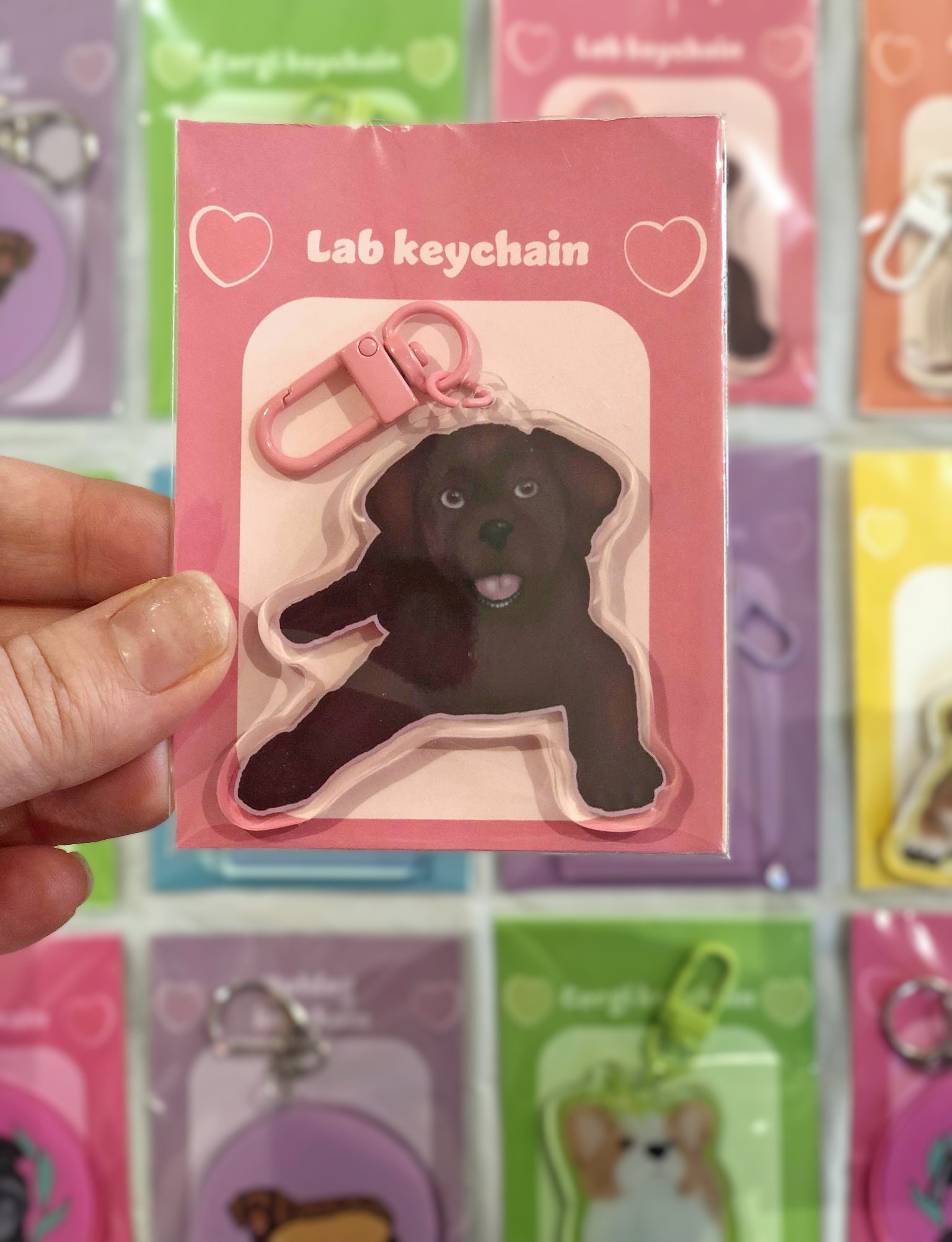 Brown Chocolate Labrador Dog Breed Acrylic Keychain- Realistic Cute ...