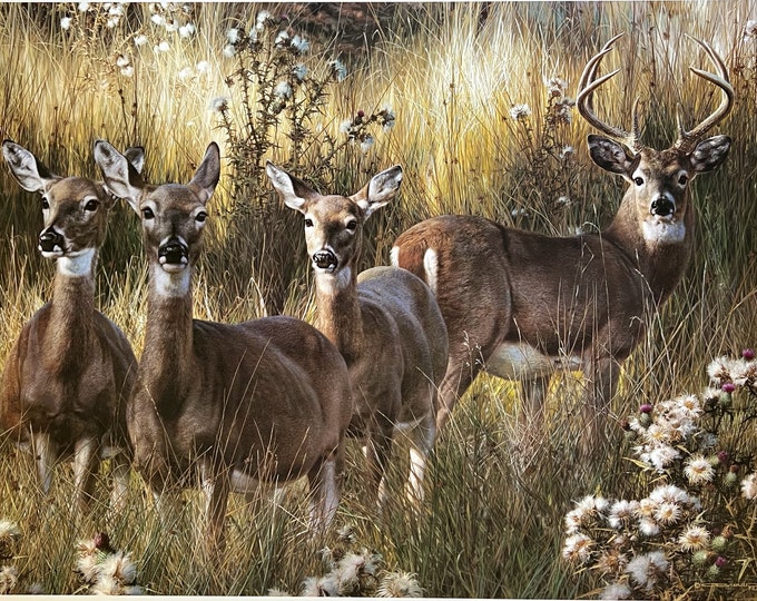 Carl BRENDERS " Family Tree " Limited Edition Signed & Numbered CANVAS ...