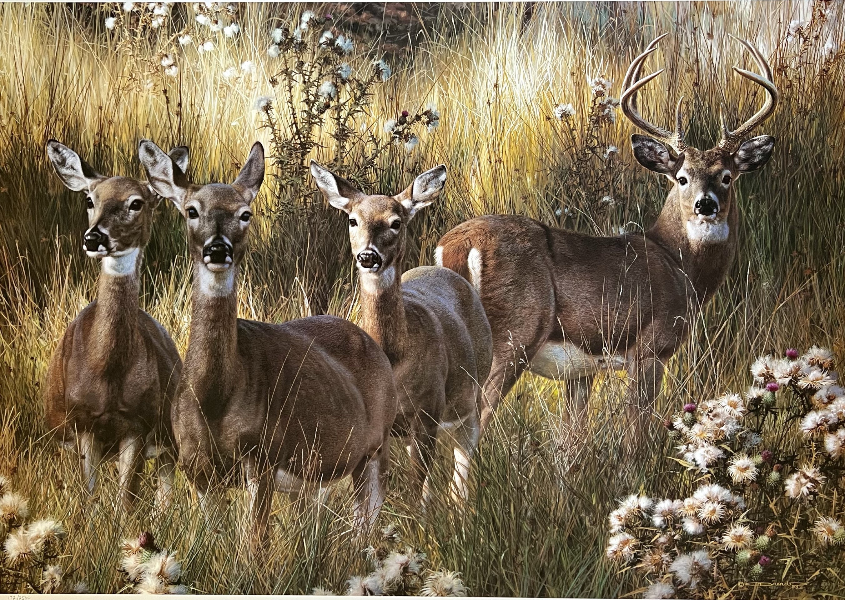 Lithograph by Carl Brenders. "power and Grace". COA. Signed and ...