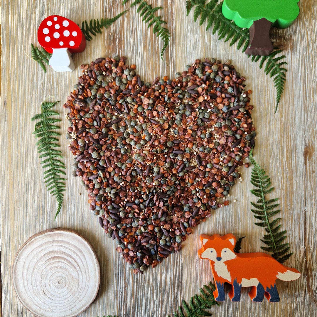 Woodland Floor Sensory Base Tuff Tray Filler Sensory Play - Etsy