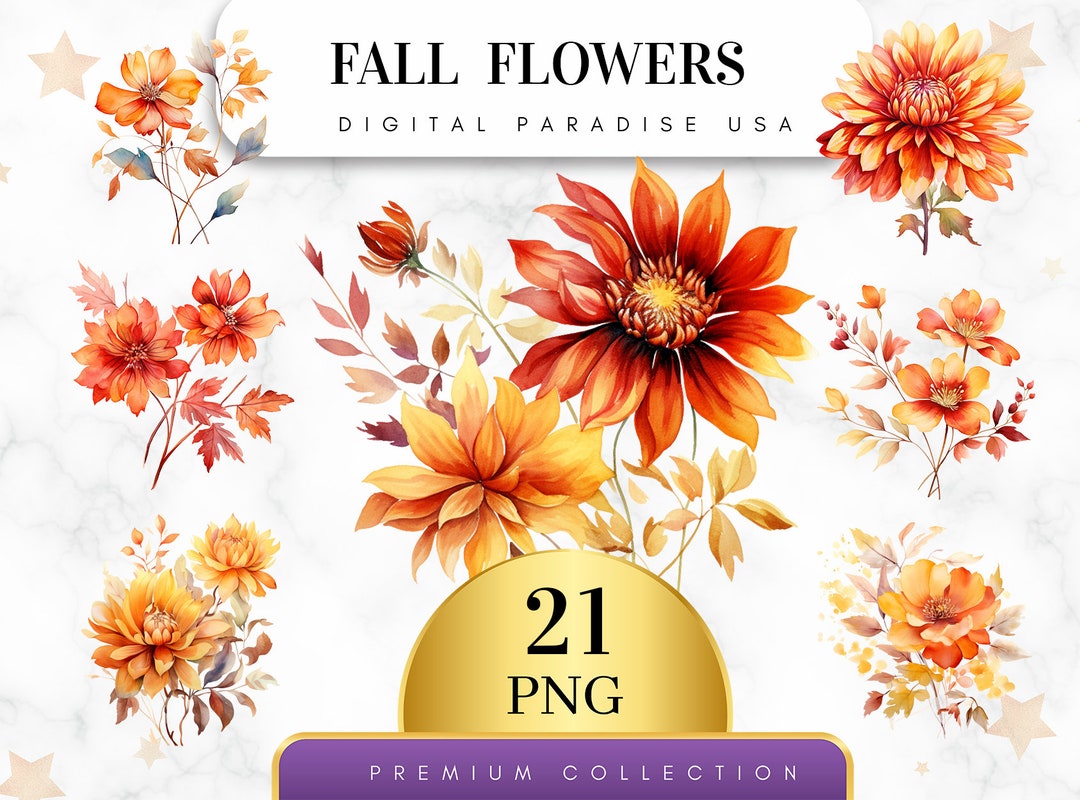 Set of 21, Fall Flowers Clipart, Fall Floral PNG, Flowers PNG ...