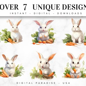 Set of 7, Bunny With Carrots Clipart, Bunny PNG, Spring Clipart, Easter ...