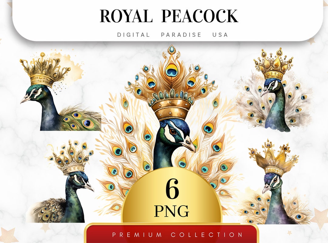Set of 6, Royal Peacock Clipart, Peacock PNG, Boho Peacock, Watercolor ...