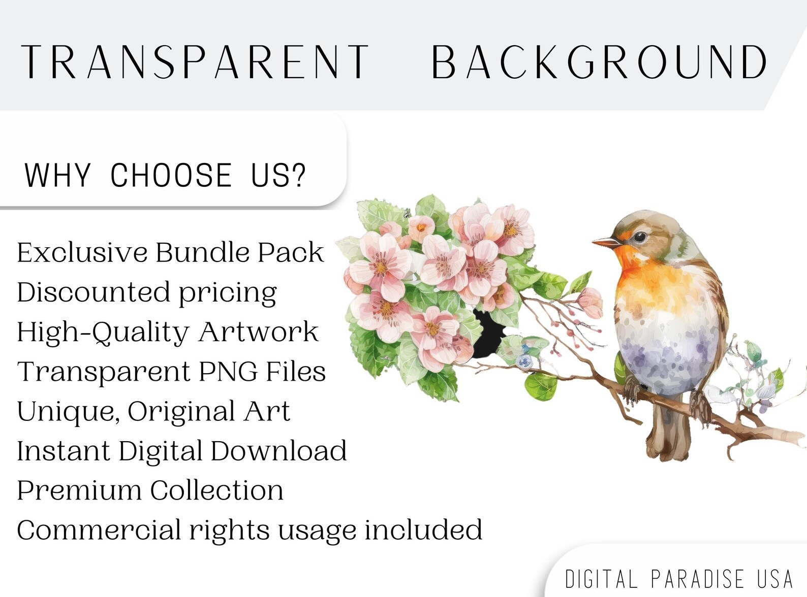 Set of 36, Watercolor Birds Clip Art, Colorful Birds Clipart, Spring ...