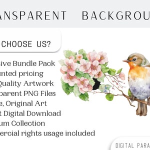 Set of 36, Watercolor Birds Clip Art, Colorful Birds Clipart, Spring ...