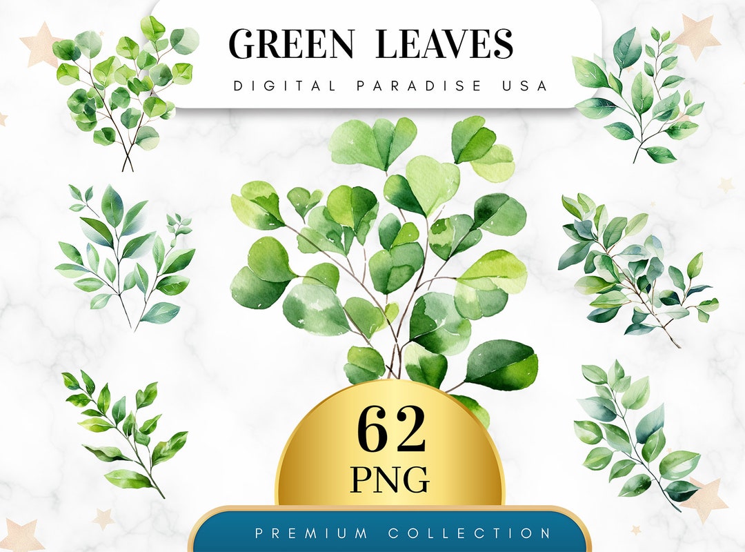 Set of 62, Green Leaves Clipart, Leaf PNG, Botanical Clipart, Jungle ...