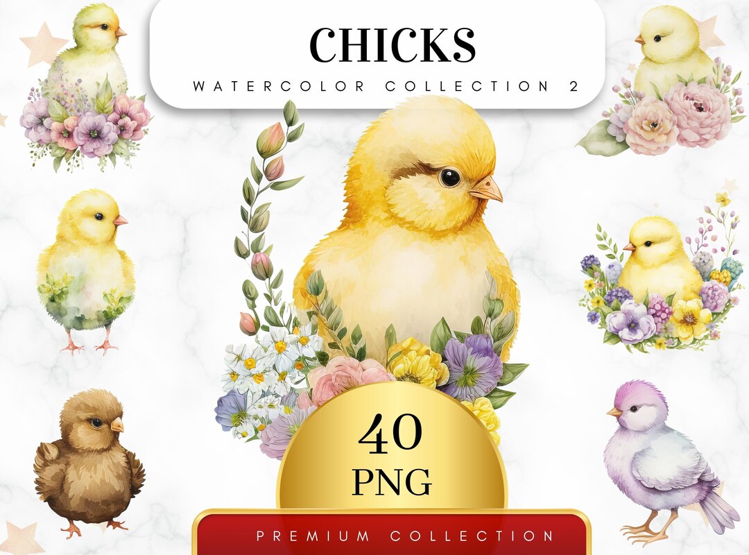 Set of 40, Watercolor Chicks Clipart Bundle, Cute Baby Chickens, Easter ...