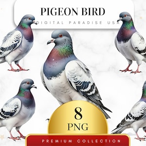 Set of 8, Pigeon Clipart, Cute Bird PNG, Watercolor Pigeon, Bird ...