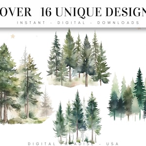 Set of 16, Watercolor Forest Tree Clipart, Pine Tree Png , Woodland ...