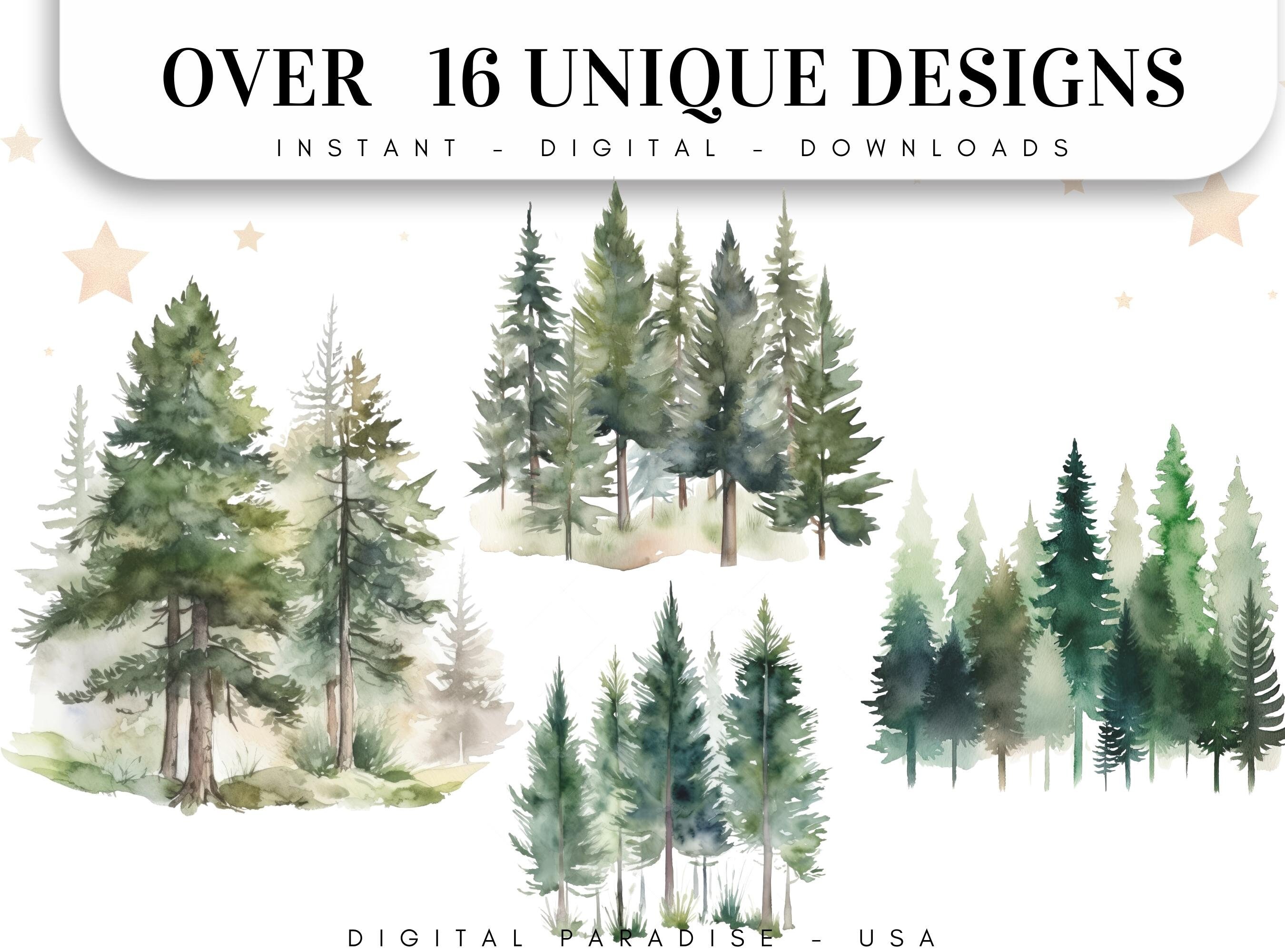 Set of 16, Watercolor Forest Tree Clipart, Pine Tree Png , Woodland ...