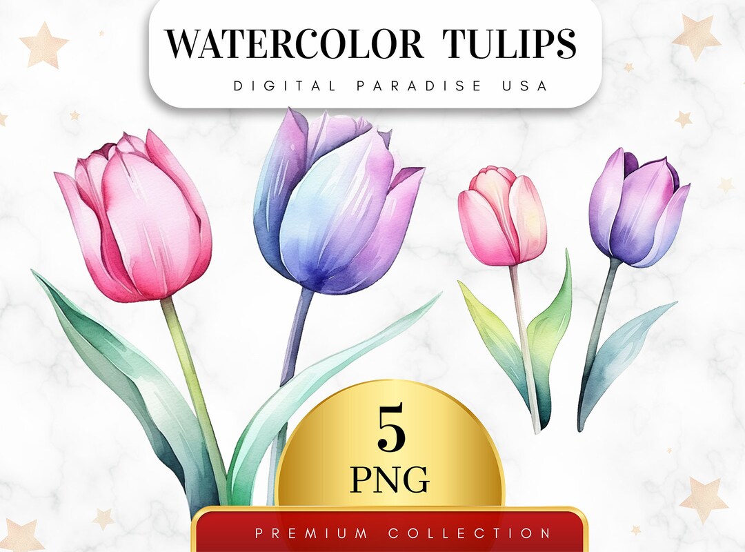Set of 5, Watercolor Tulips Clipart, Tulip PNG, Spring Flower Clipart ...