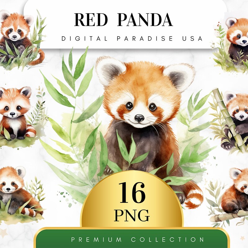 Panda Scrapbook - Etsy