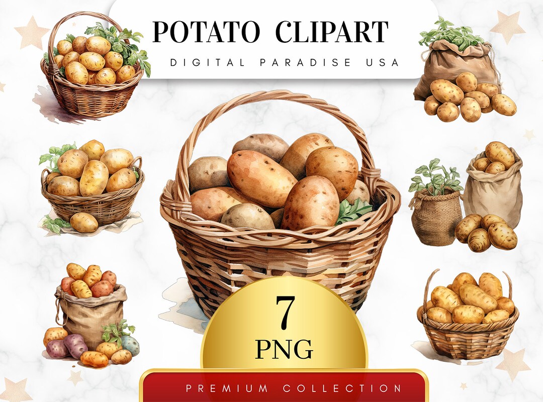 Set of 7, Watercolor Potato Clipart, Potato PNG, Vegetable Clipart ...