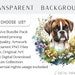Set of 14 Watercolor Boxer Dog Clipart Spring Boxer Dog With - Etsy
