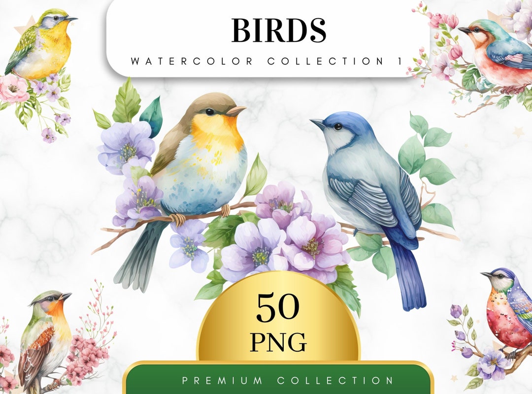Set of 50 Watercolor Birds Clipart Bundle Spring Birds - Etsy