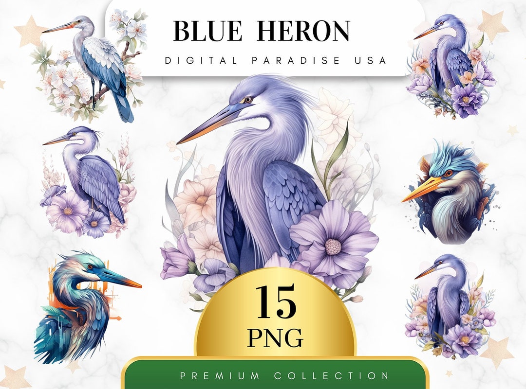 Set of 15, Blue Heron Clipart, Heron PNG, Watercolor Heron, Bird ...