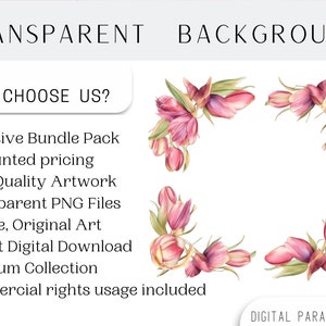 Set of 12, Watercolor Pink Tulips Clipart, Tulips PNG, Floral Clipart ...