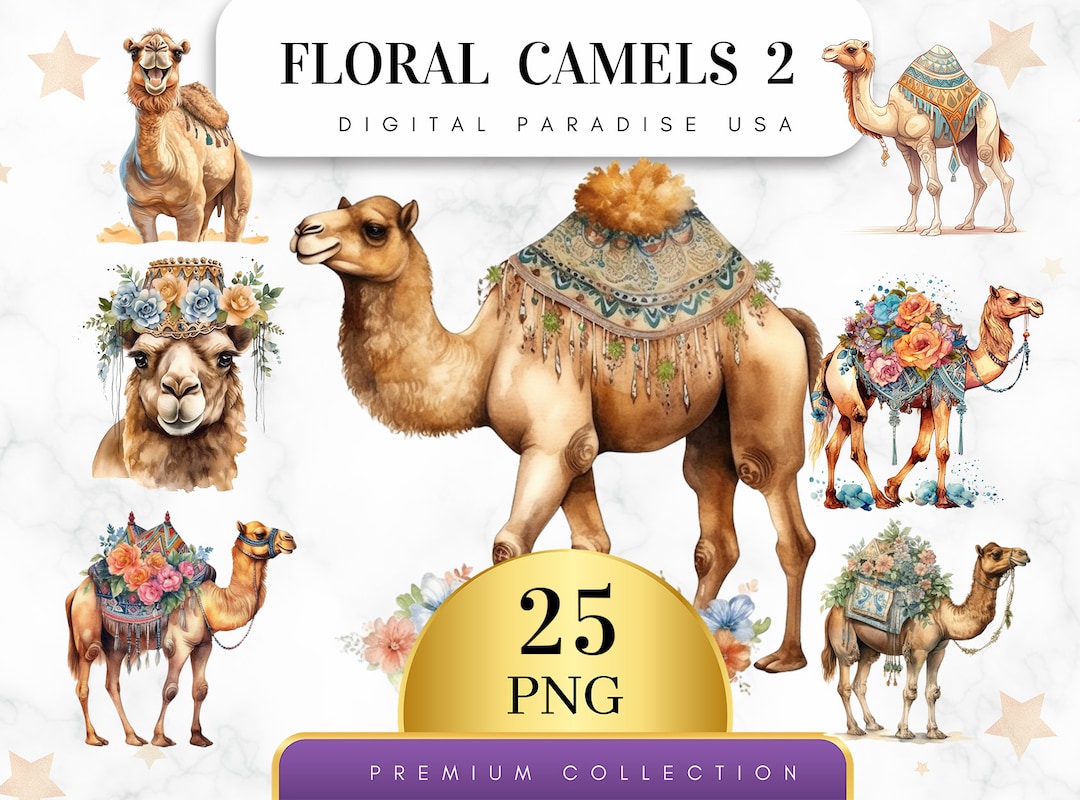 Set of 25, Watercolor Floral Camels Clipart, Camel PNG, Boho Camel Art ...