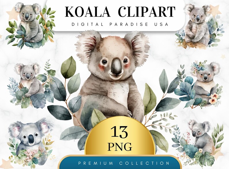 Set of 13, Watercolor Koala Clipart, Koala PNG, Cute Koalas, Koala Bear ...