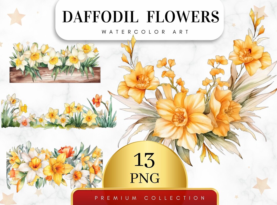 Set of 13, Watercolor Daffodil Flowers, Daffodil PNG, Floral Clipart ...