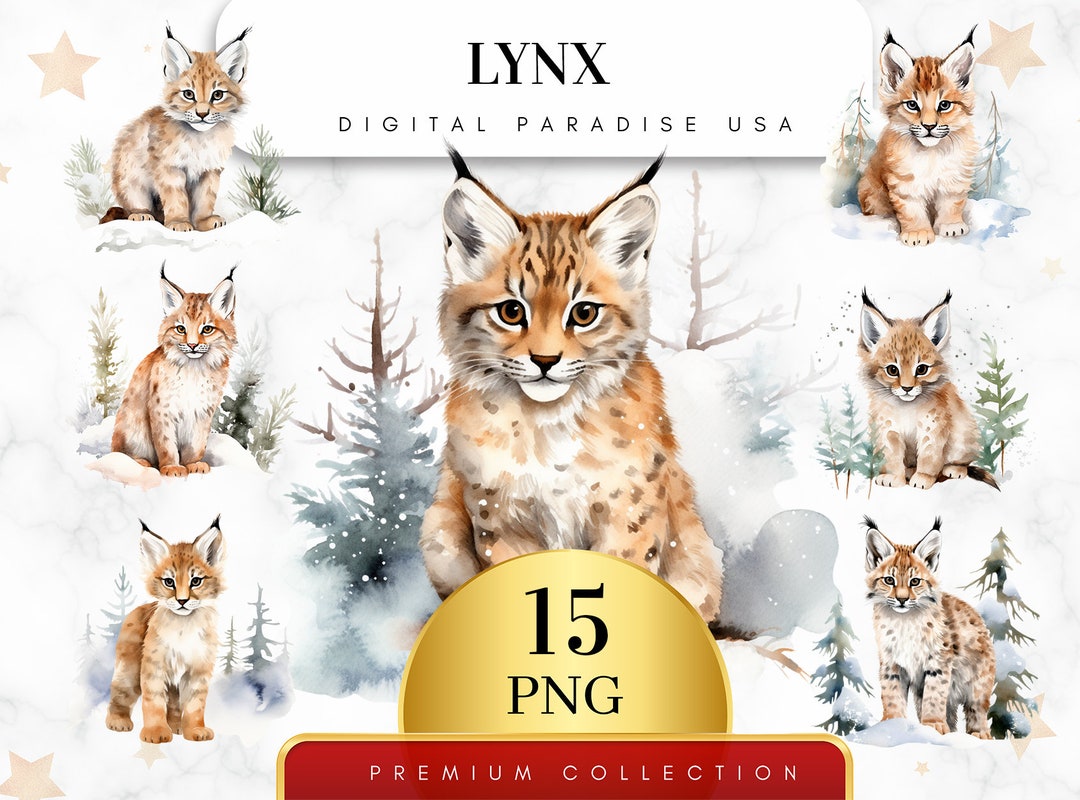 Set of 15, Lynx Clipart, Lynx PNG, Wildlife Clipart, Animal Clipart ...