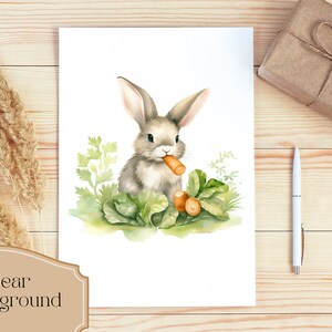 Set of 15, Watercolor Rabbit Carrot Clipart, Rabbit Clipart, Carrot PNG ...