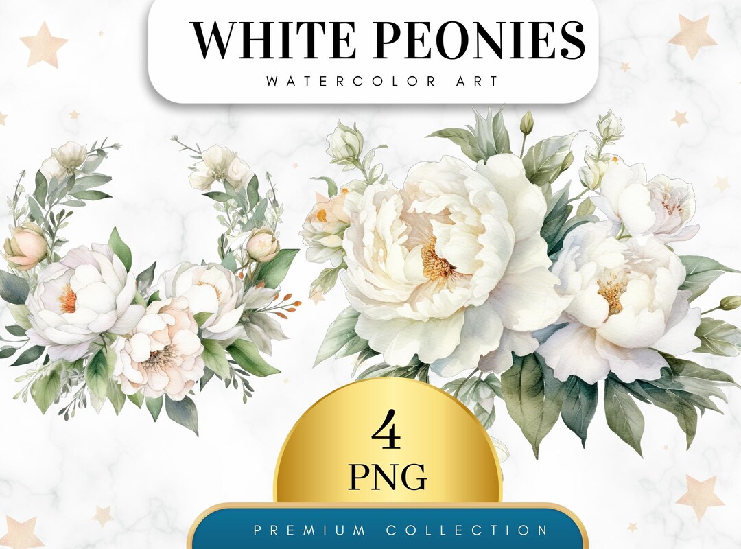 Set of 4, Watercolor White Peonies Clipart, Floral PNG, Floral Clipart ...