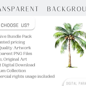 Set of 23, Palm Trees Clipart, Tropical Trees Clip Art, Summer Clipart ...