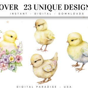 Set of 23, Watercolor Chicks Clipart Bundle, Cute Baby Chickens, Easter ...