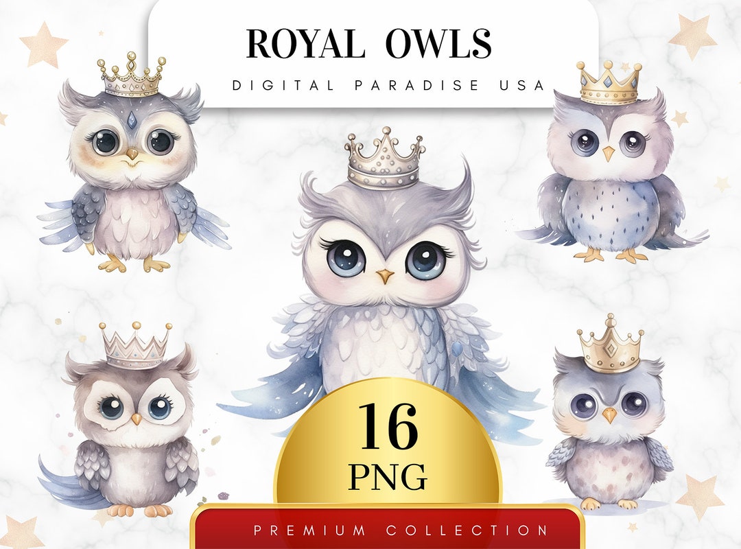 Set of 16, Royal Owls Clipart, Owl PNG, Watercolor Owl, Owl Clipart, Digital Download, Digital ...
